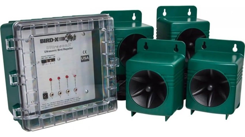 The Ultimate Guide to Protecting Fruit Trees from Birds | INSONSHADE