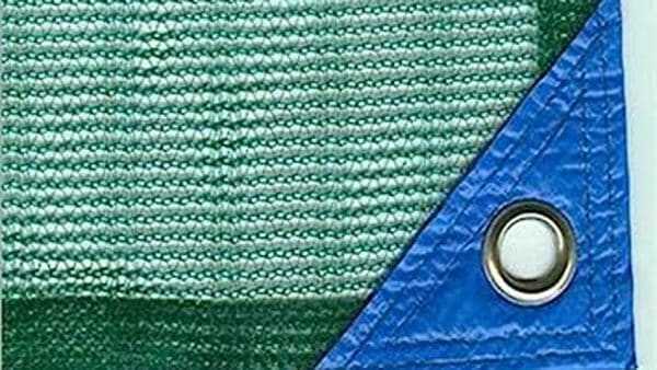 Best Tree Net to Catch Fruit Falling from Trees [2023 Updated]