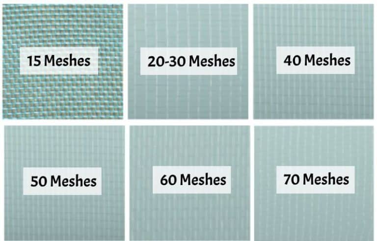 10 Effective Ways to Stop Bugs from Eating Your Plants | INSONSHADE