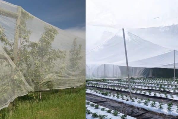 How to Install Hail Netting for Family Garden & Large Orchard | INSONSHADE