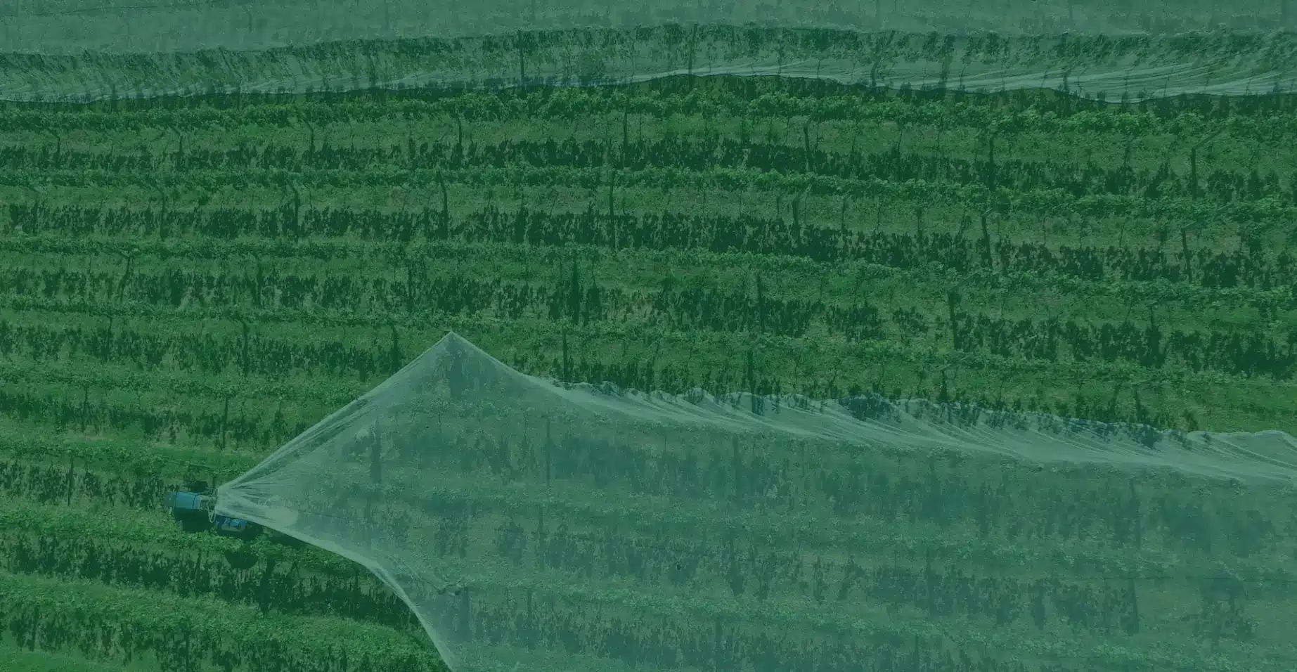 Agricultural Netting for Farm & Garden | Factory Price - INSONSHADE