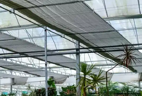 Green Shade Net from 30% - 90% for Agricultrual, Greenhouse & Construction