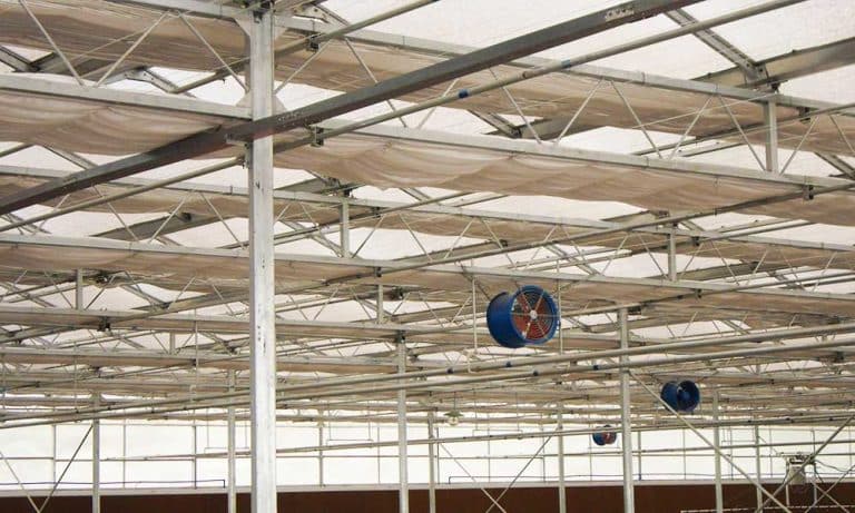 8 Essential Types of Greenhouse Screens You Need to Know | INSONSHADE