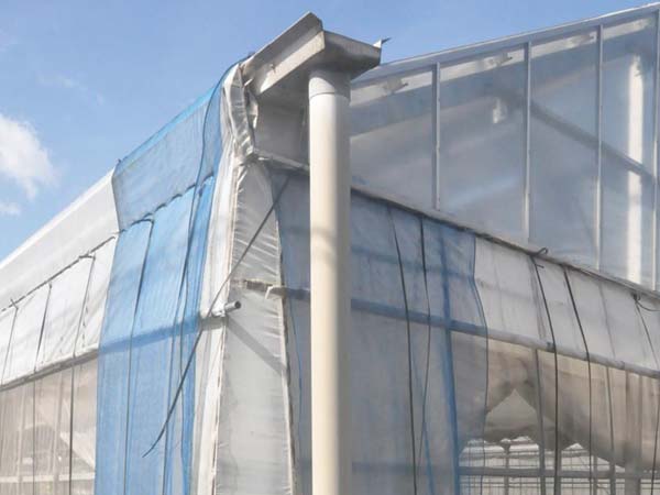 High Strength Windproof Net & Greenhouse Film Fixing Net | INSONSHADE
