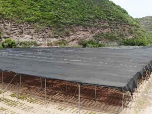 Types of Shade Net Houses: Which One Is Right for Your Farm? | INSONSHADE