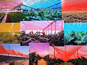 12 Different Types of Shade Cloth (Nets) Explained | INSONSHADE